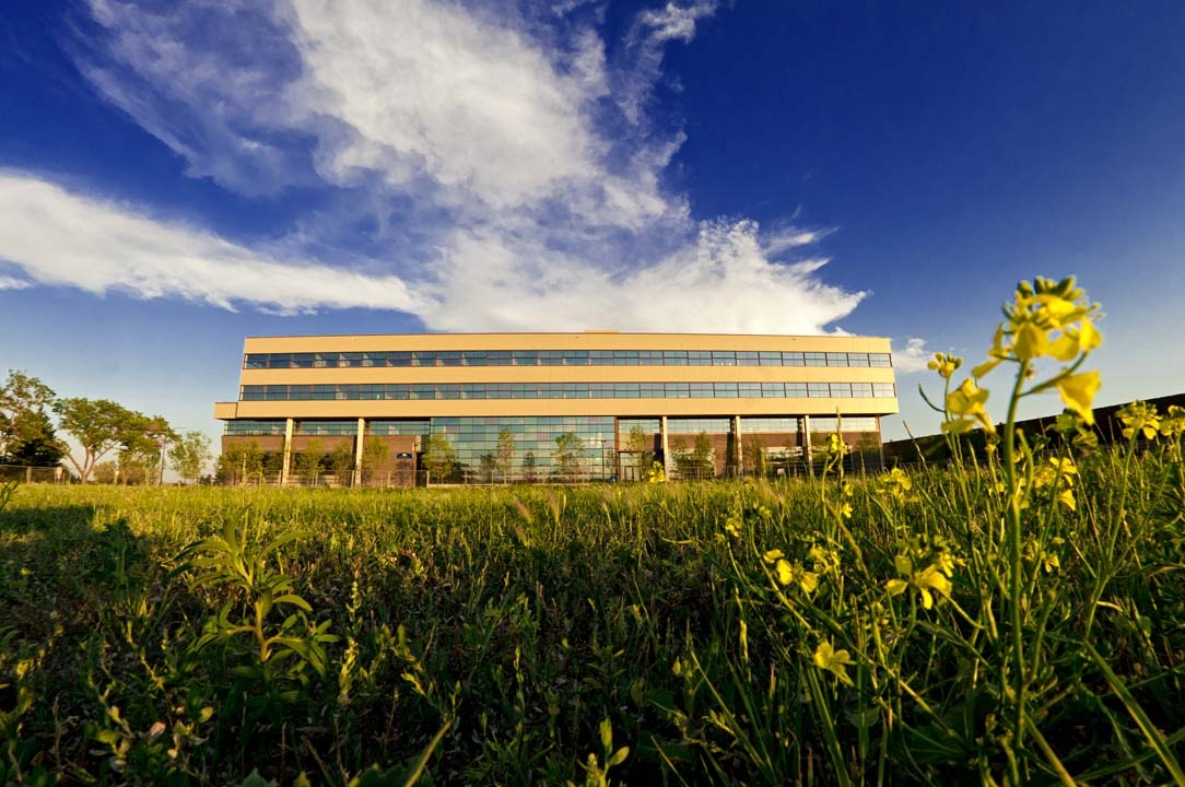 University of Lethbridge | Canadian University Dubai